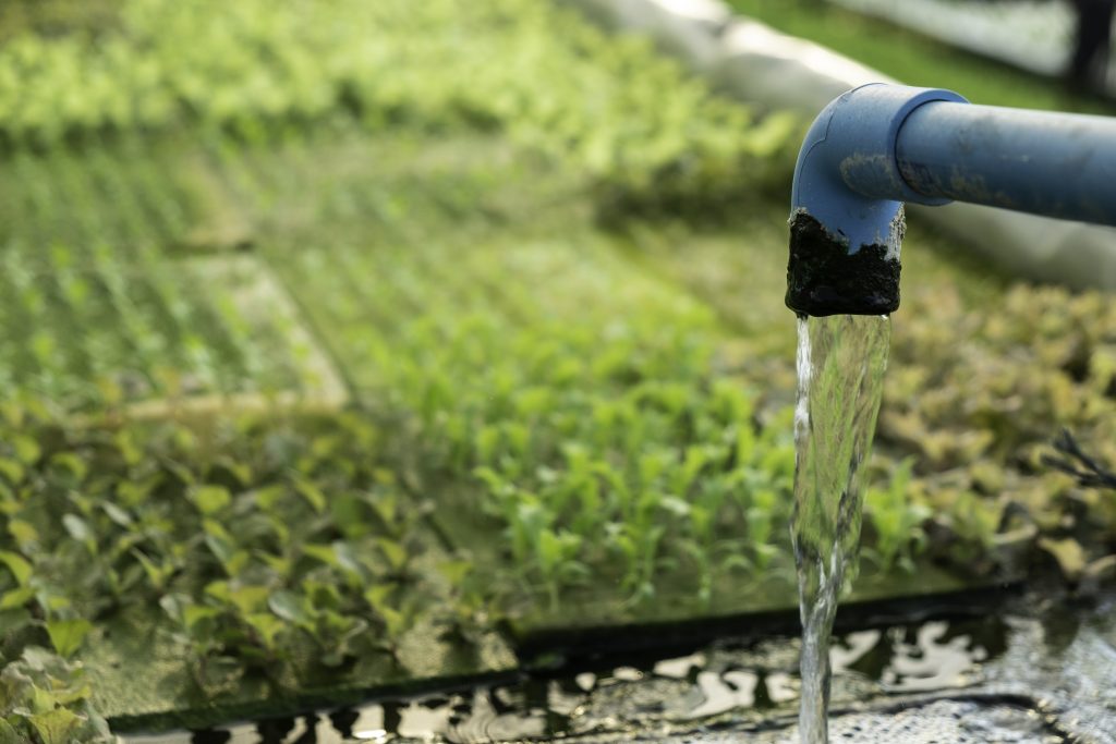 Exploring the Pros and Cons of Hydroponics: A Comprehensive Guide – Efarms